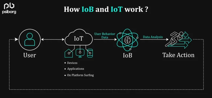IoB and IoT: The Future of Smart Decision Making